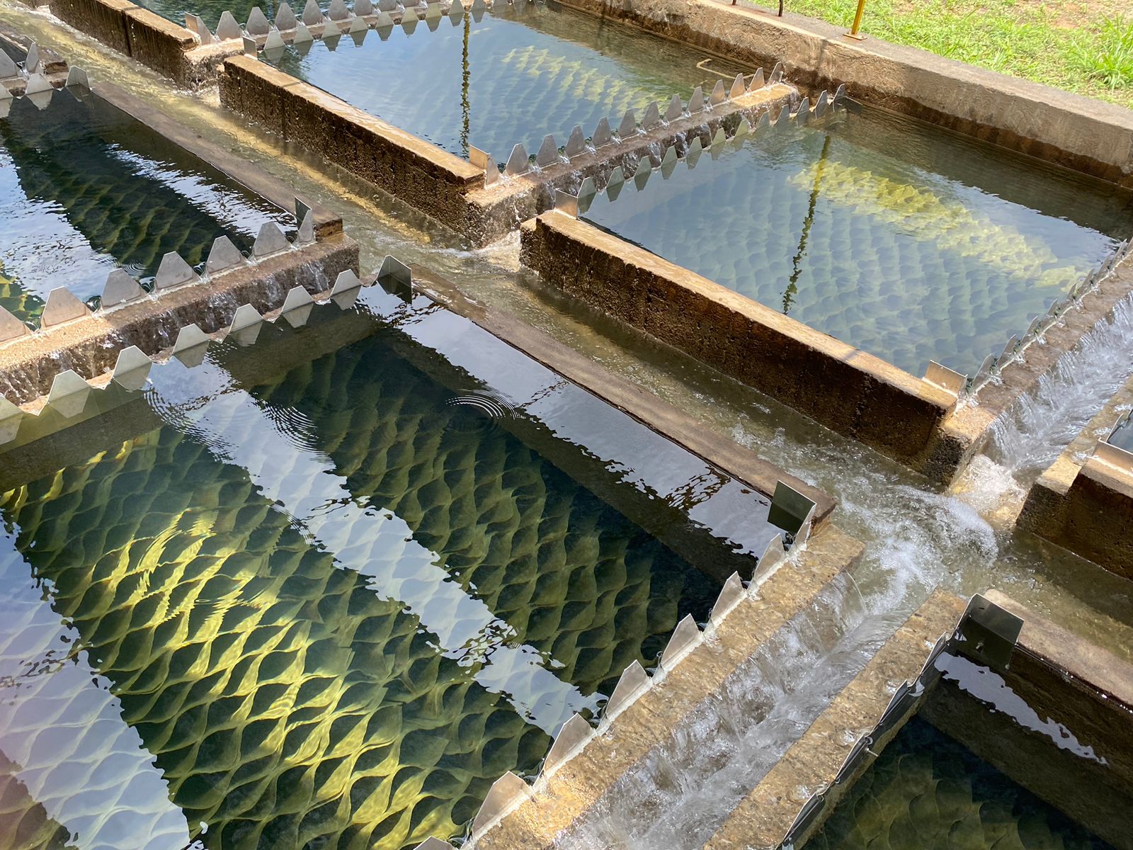 Aqualia mantiene su compromiso de suministrar agua de alta calidad ...